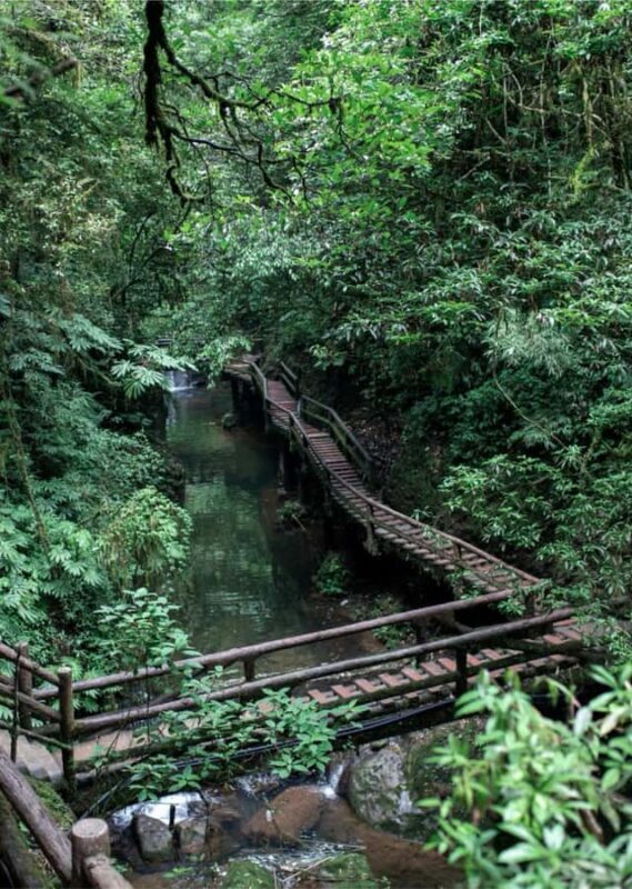 Chengdu: Qingcheng Mountain, Dujiangyan & Sichuan opera Tour - Practicalities and Value Considerations