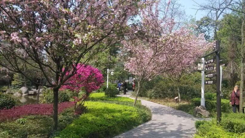 Chengdu: Sichuan Cuisine-Themed Museum Cooking Experience - Is This Tour Worth the Price?