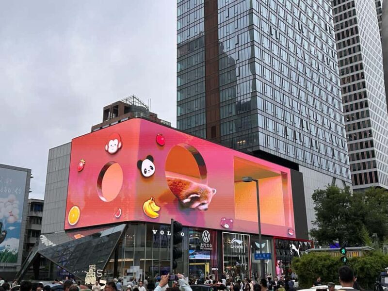 Chengdu: Tianfu Airport (TFU) Layover Half-Day Private Tour - Who Should Consider This Tour?