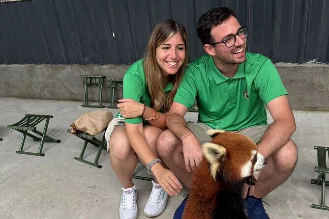 Chengdu: Volunteer Day Experience at Dujiangyan Panda base - Final Thoughts on Value and Authenticity