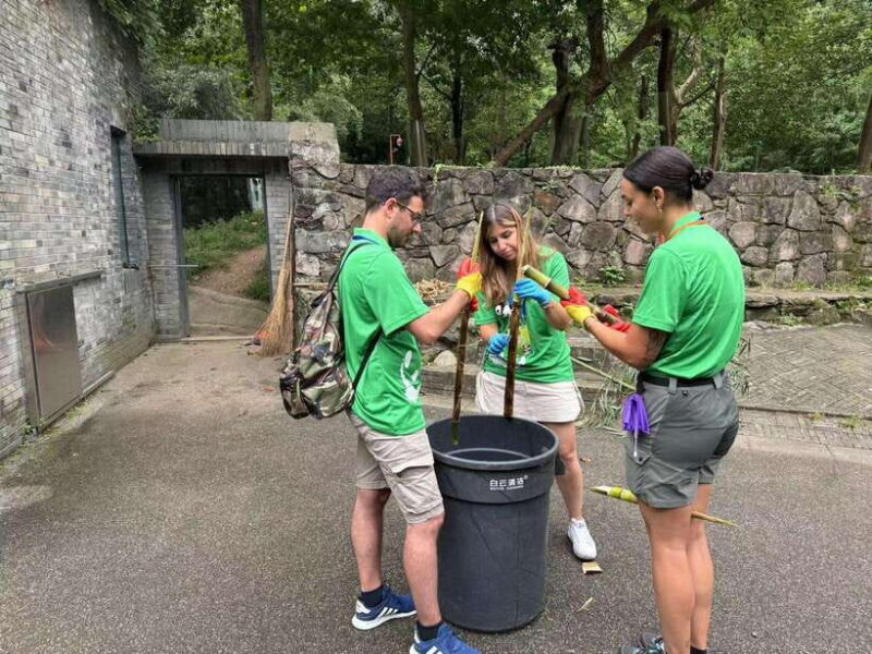 Chengdu: Volunteer Day Experience at Dujiangyan Panda base - Practical Details and Value