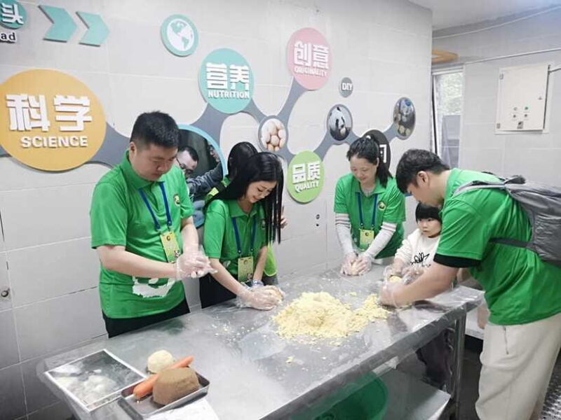 Chengdu: Volunteer Day Experience at Dujiangyan Panda base - The Sum Up: Who Should Book This Experience?
