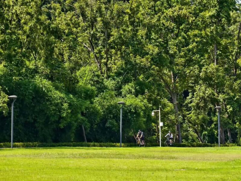 Chengdu: Wonder Ride Cycling Greenway - An Authentic Look at Chengdu’s Greenway by Bike