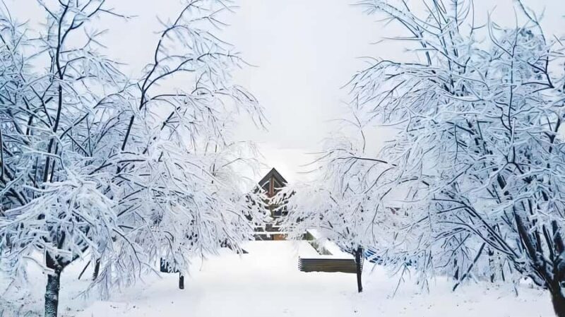 Chengdu: Xiling Snow Mountain Ticket - Visiting in Different Seasons