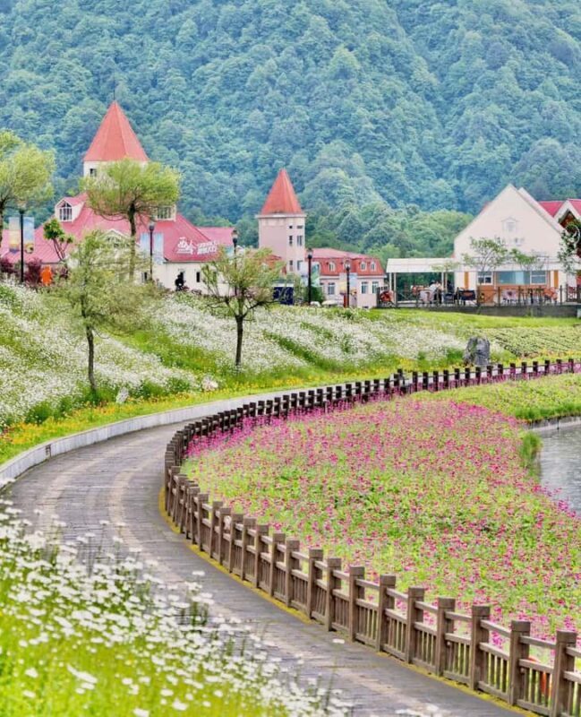 Chengdu: Xiling Snow Mountain Tour with Cable Car & Hiking - The Sum Up