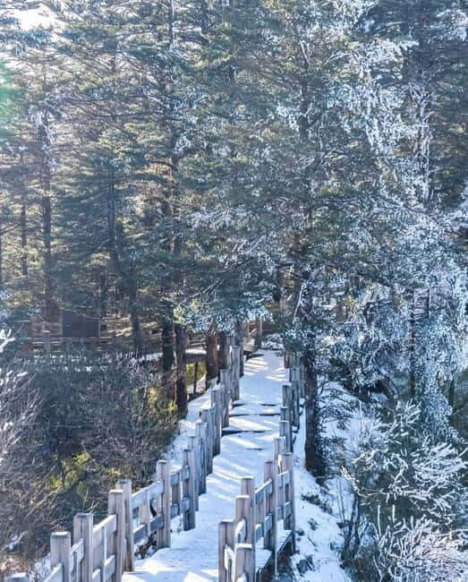 Chengdu: Xiling Snow Mountain Tour with Cable Car & Hiking - Frequently Asked Questions