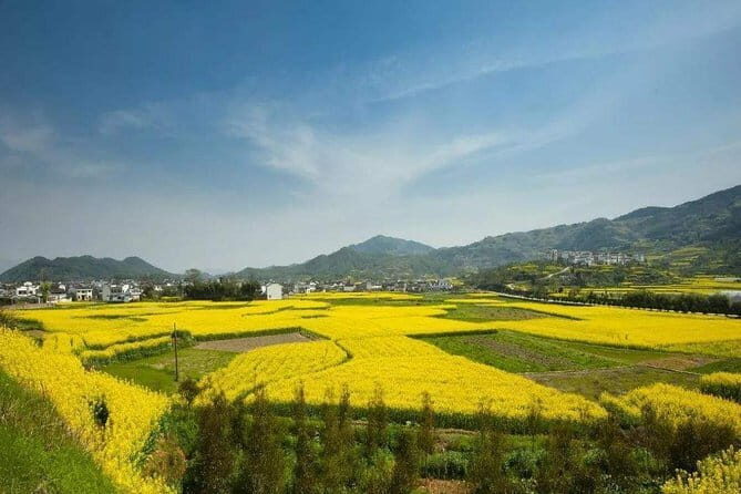 Chengkan Ancient Village Half-Day Private Tour from Huangshan - Final Thoughts