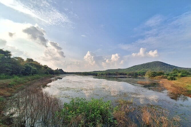 Chennai, Birding with Sound Approach, Spotting Scope, 2-3 hours - Why the Price is Good Value