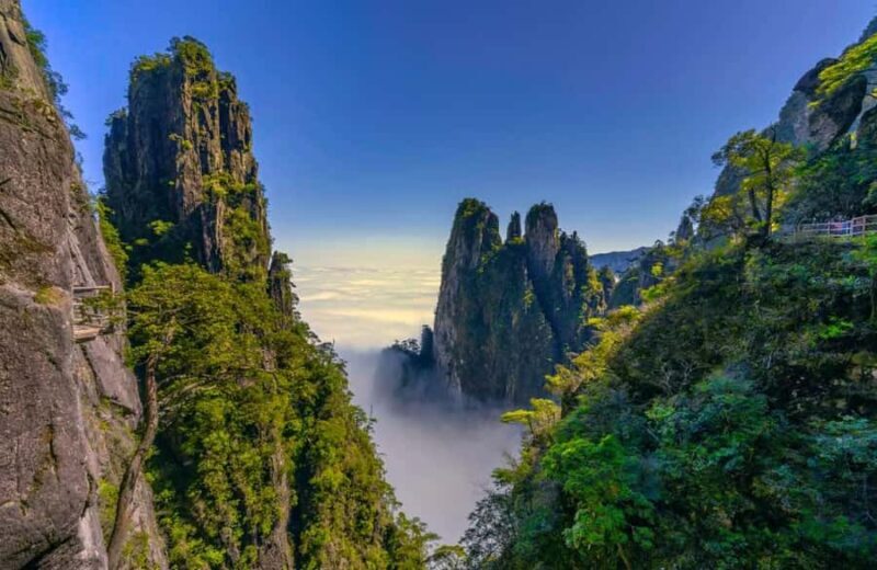 ChenZhou: Mangshan National Forest Park Day Trip - Key Points