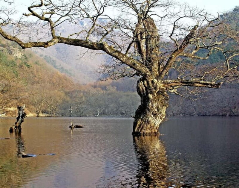 Cheongsong UNESCO GEO Park Hike From Andong - An Overview of the Cheongsong UNESCO Geopark Tour