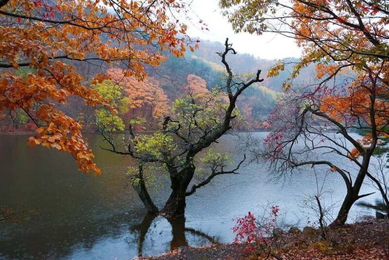 Cheongsong UNESCO GEO Park Hike From Andong - Detailed Itinerary Breakdown