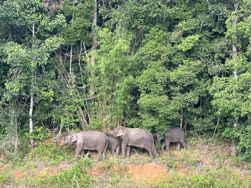 Cheow Larn Lake - Hiking - Cave Explore - Wildlife Safari - Final Thoughts