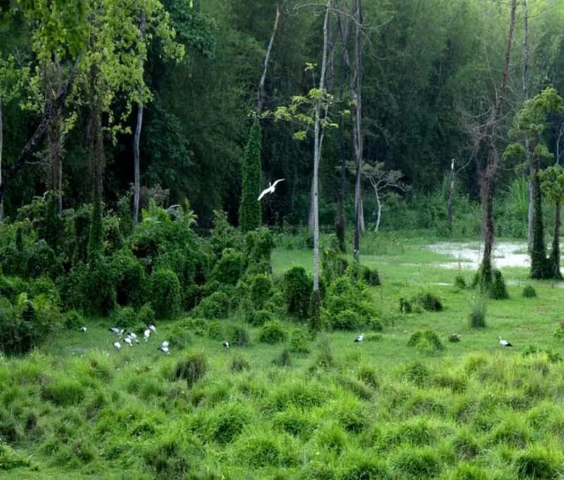 Chepang Hill Homestay Trek and Chitwan National Park Tour - Key Points