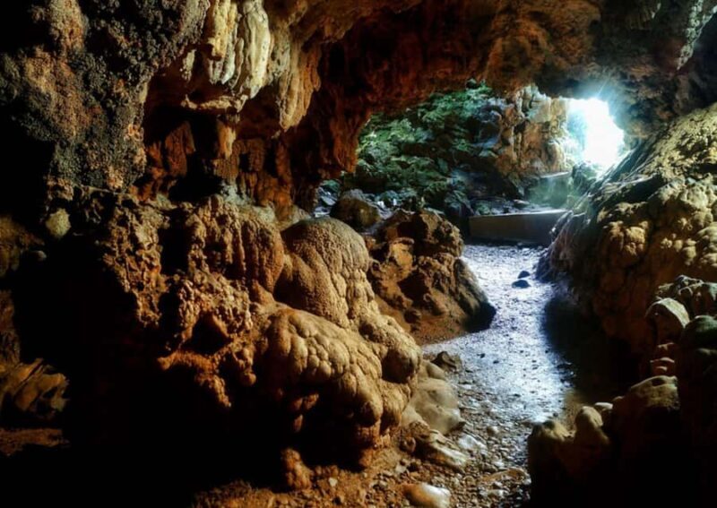 Cherrapunji: Guided Full-Day Trip from Shillong by Car - Key Points