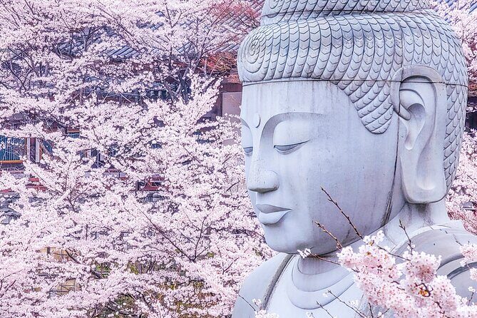 Cherry Blossom Buddha and Mt.Yoshino with Strawberry Picking Tour - Key Points