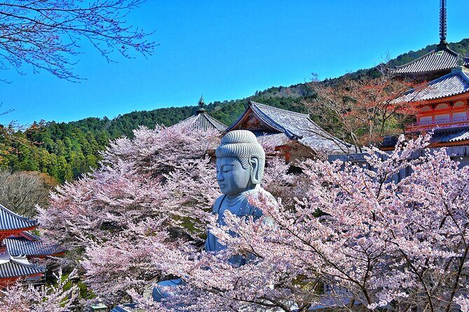 Cherry Blossom Buddha and Mt.Yoshino with Strawberry Picking Tour - An Honest Look at the Tour Itself