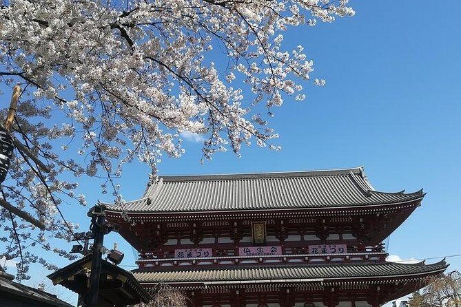 Cherry Blossom highlights, Asakusa, Ueno, Imperial Palace Garden - The Sum Up