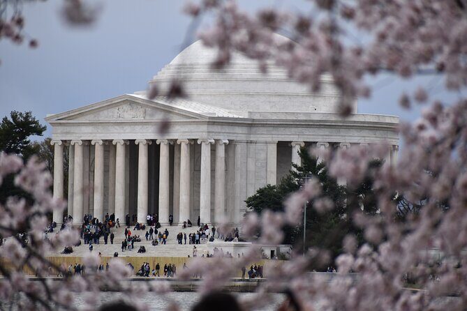 Cherry Blossom Private Bus Tour of Washington DC - Exploring Washington DC with a Private Touch