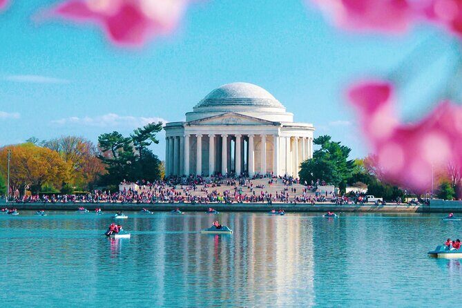 Cherry Blossom Private Bus Tour of Washington DC - Final Thoughts