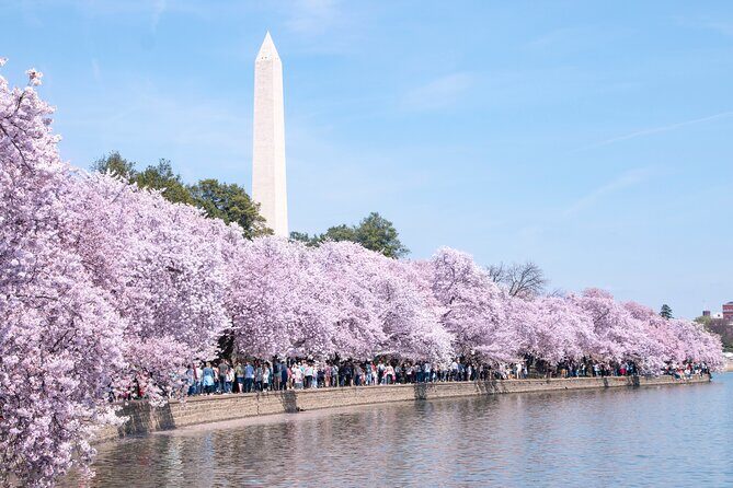Cherry Blossom Private Bus Tour of Washington DC - FAQ