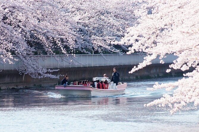 Cherry Blossom Sightseeing River Boat Experience - Key Points