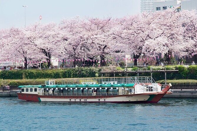 Cherry Blossom Sightseeing River Boat Experience - An In-Depth Look at the Cherry Blossom River Cruise