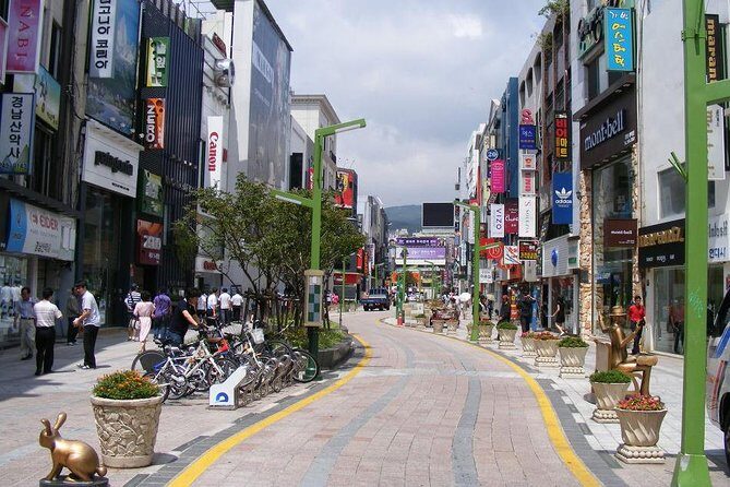 Cherry blossom tour in Busan and Jinhae from Busan - Exploring BIFF Square