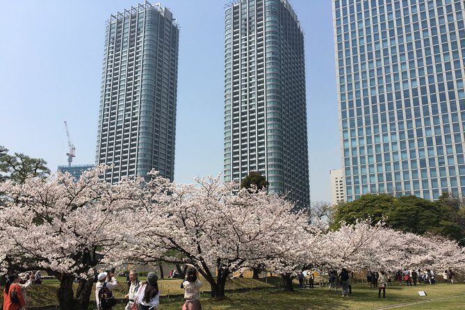 Cherry blossom tour in Tokyo - Who Will Love This Tour?