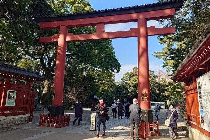 Cherry Blossoms and Strawberry Picking Tour from Tokyo Kawagoe - Final Thoughts