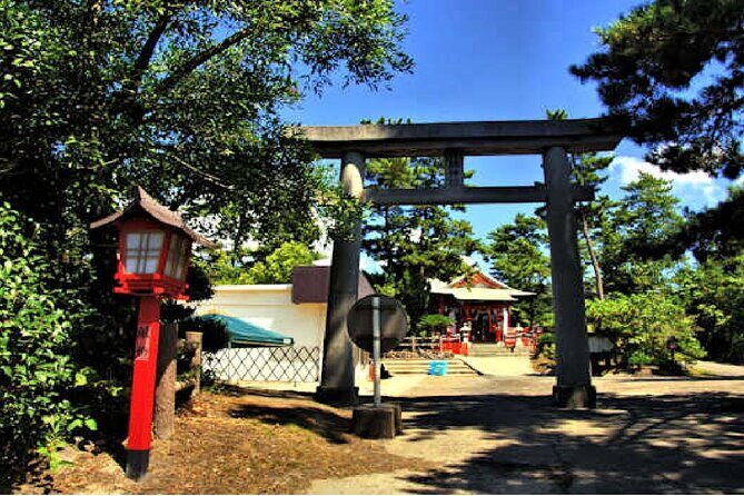 Cherry Blossoms in Kagoshima - Who Should Book This Tour?
