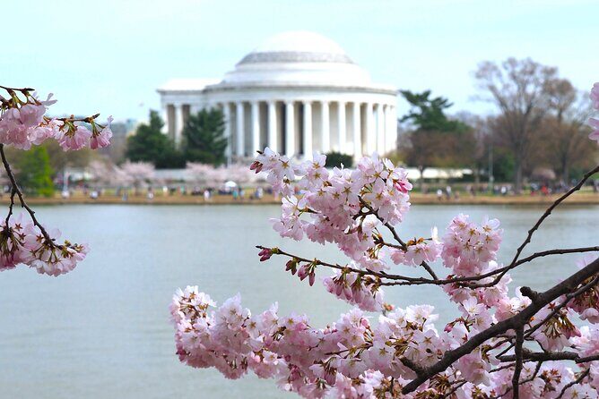 Cherry Blossoms & Monuments Tour with 10+ Stops and Boat Cruise - Exploring the Itinerary: What to Expect