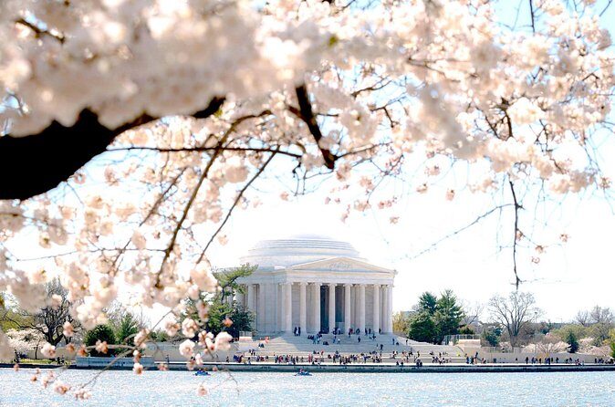Cherry Blossoms & Monuments Tour with 10+ Stops and Boat Cruise - Who Should Consider This Tour?