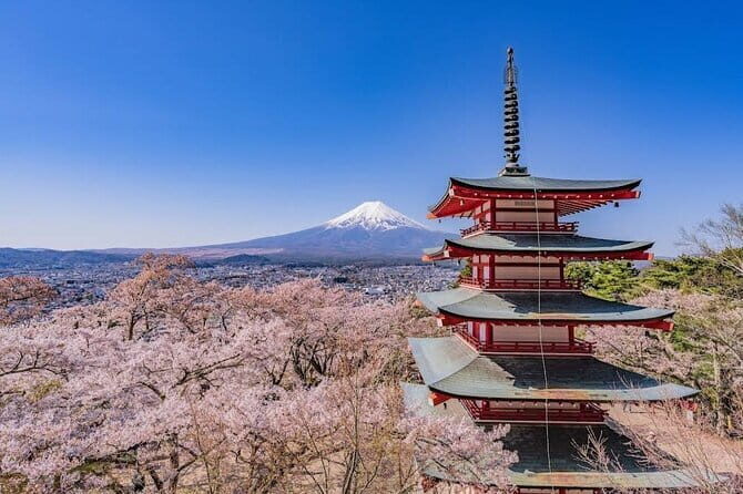 Cherry Blossoms on Mt. Fuji Day Trip with English Speaking Driver - FAQs