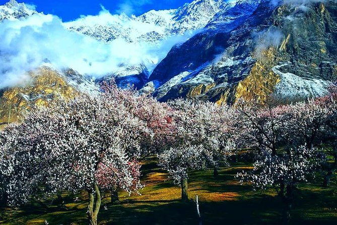 Cherry Blossoms Trip to Northern Areas of Pakistan 2020 (8D 7N) - Key Points