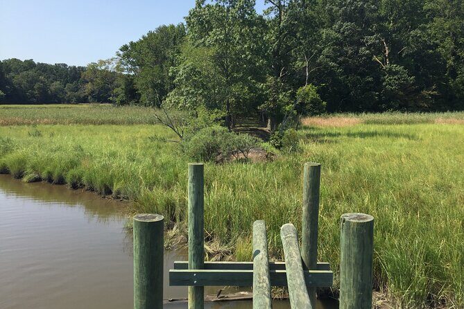 Chesapeake Beach Guided Walking Tour - Railway Trail - Authentic Reviews and Insights