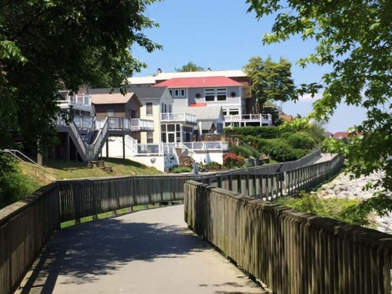 Chesapeake Beach: Guided Walking Tour to The Cliffs - Visiting the Cliffs of Calvert