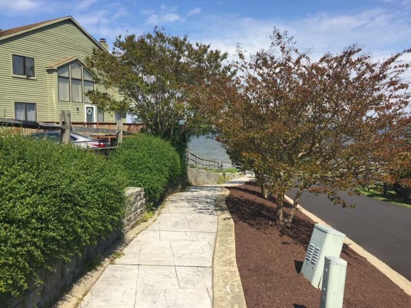 Chesapeake Beach: Guided Walking Tour to The Cliffs - Practical Details and Value