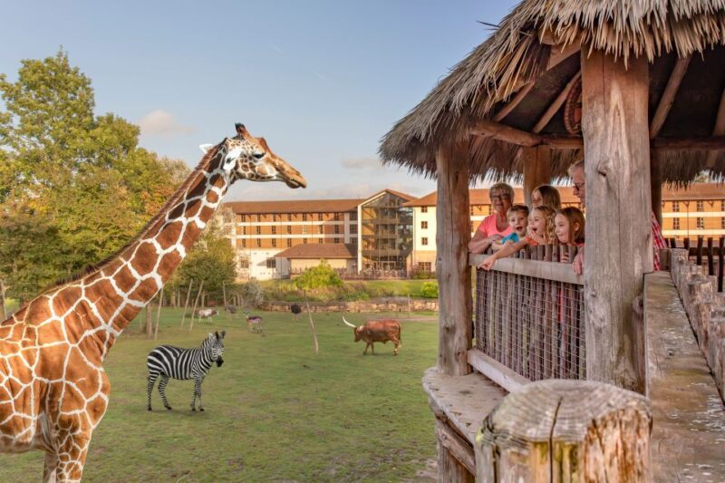Chessington World of Adventures Resort: Entrance Ticket - What Visitors Say