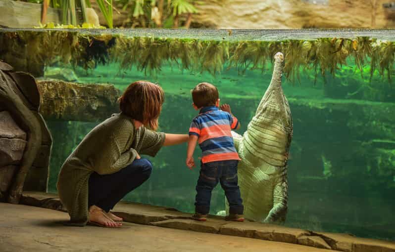 Chester: Chester Zoo Entry Ticket - FAQs