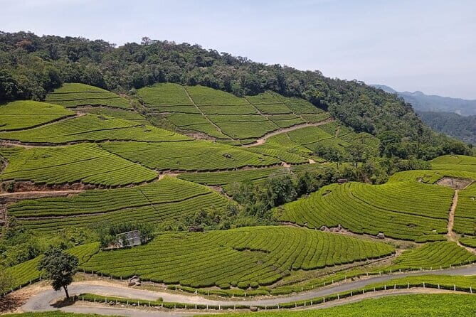 Chettinad Crafts And Culture Tour - From Madurai - The Sum Up: Is This the Right Tour for You?