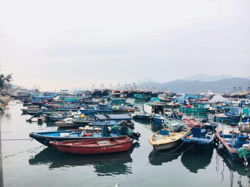 Cheung Chau Island: Walking Day Tour - Is This Tour Worth the Price?