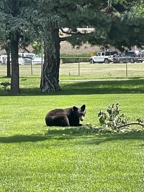 Cheyenne Cañon Art and Nature Segway Tour - Key Points