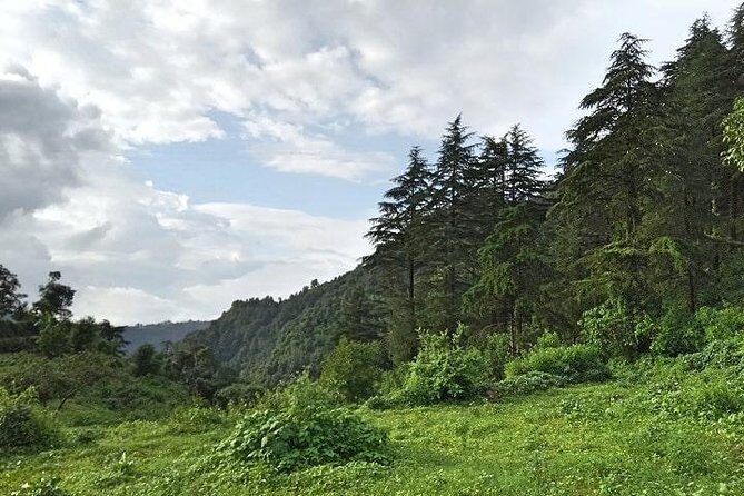 Chhaskhet Nature Walk - Starting Point and Overall Experience