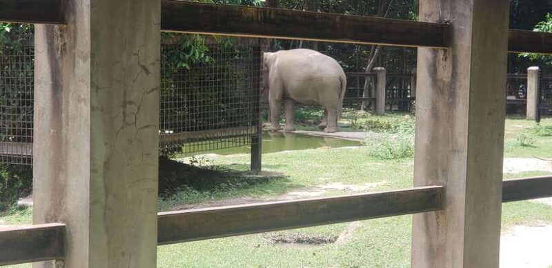 Chi so mountain _ Ta moa zoo_ Bati temple Tour - Key Points