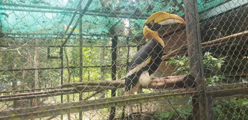 Chi so mountain _ Ta moa zoo_ Bati temple Tour - Bati Temple of Tonle Bati: A Timeless Complex