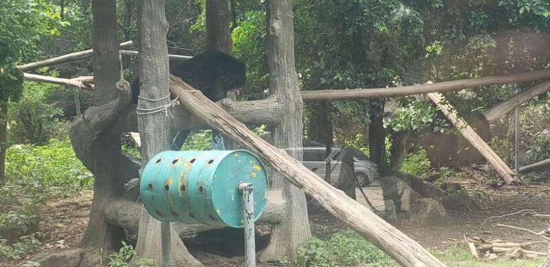 Chi so mountain _ Ta moa zoo_ Bati temple Tour - Authenticity and Value