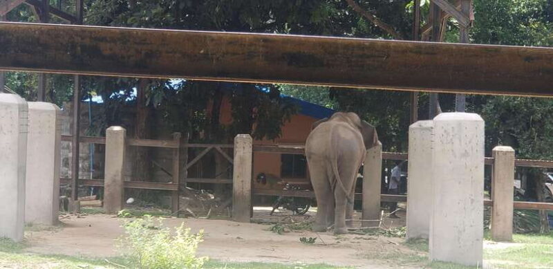 Chi so mountain _ Ta moa zoo_ Bati temple Tour - The Sum Up