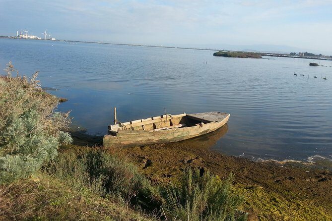 Chia Beaches Tour from Cagliari with van - Key Points