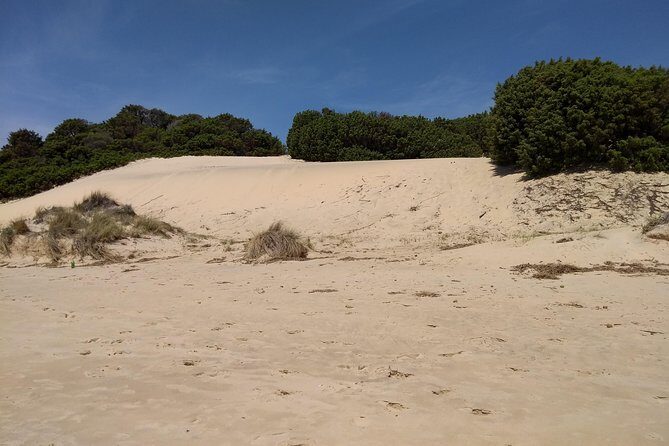 Chia Beaches Tour from Cagliari with van - An In-Depth Look at the Chia Beaches Tour