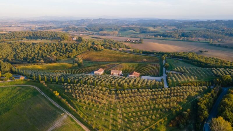 Chianciano Terme: Boutique Winery Tour with Tastings - Final Thoughts